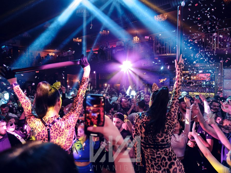 All GALLERIES - Vivanight