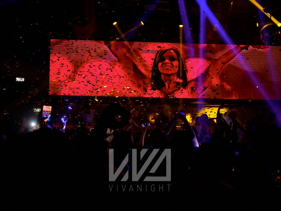 All GALLERIES - Vivanight